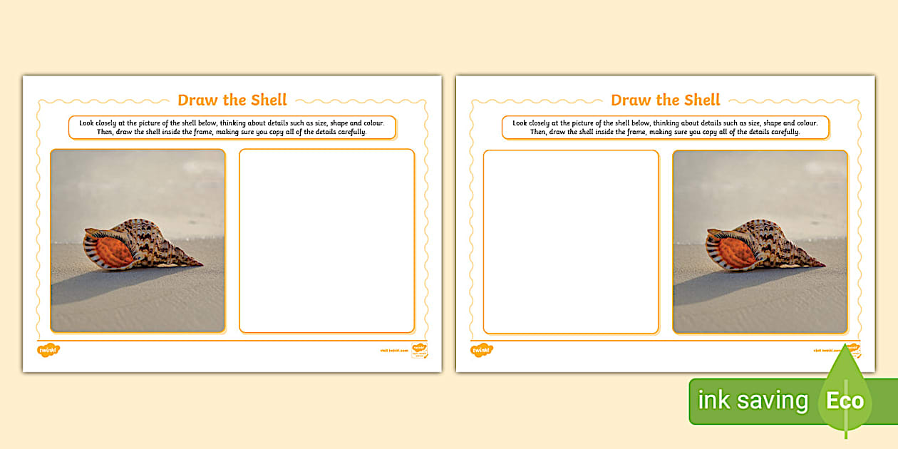 Draw a Shell Art Activity,beach art,shell,seashells - Twinkl