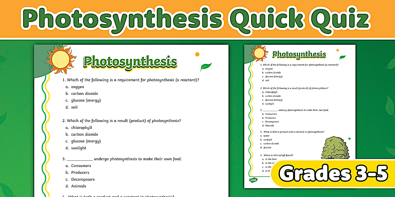 Photosynthesis Quick Quiz for 3rd-5th Grade