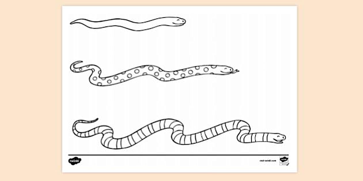 Printable Colouring Page Of Snakes | Colouring Sheets
