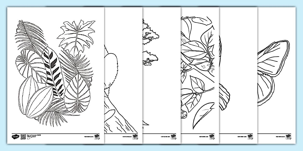 Rainforest Themed Colouring Sheets (teacher made) - Twinkl