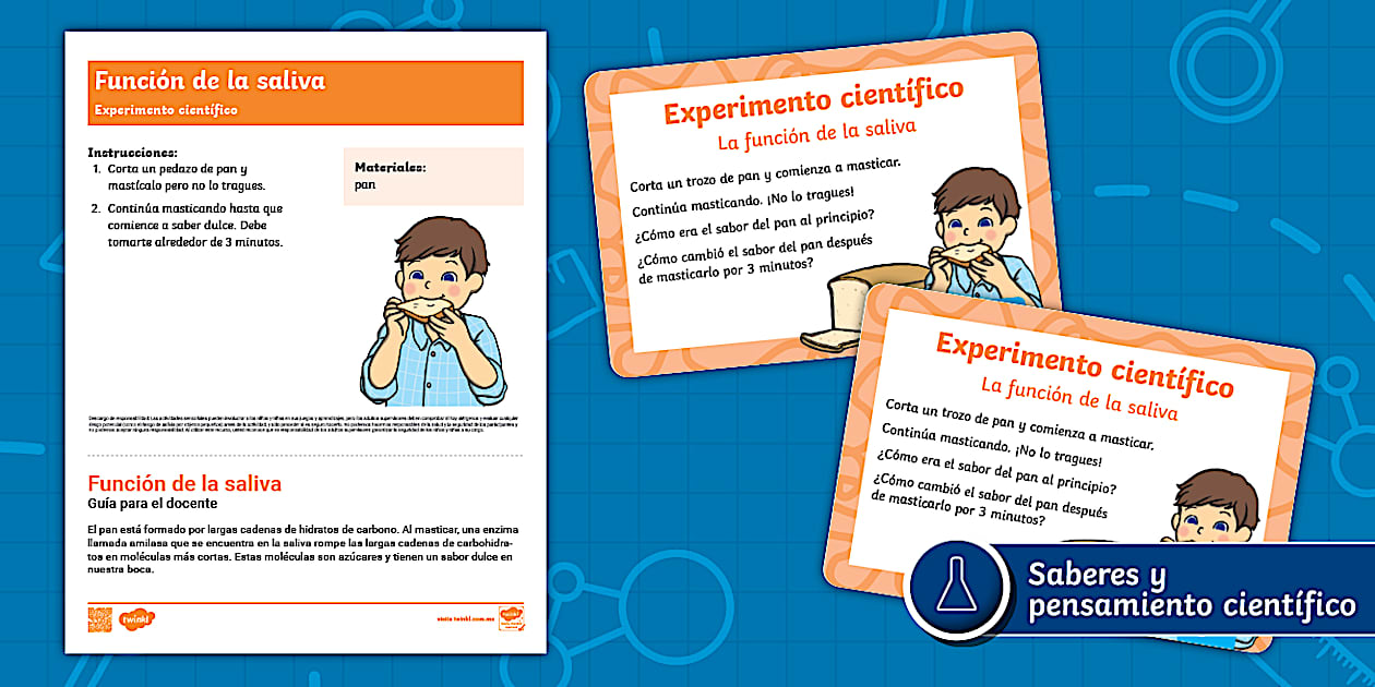 Experimento - Función de la saliva (Teacher-Made) - Twinkl