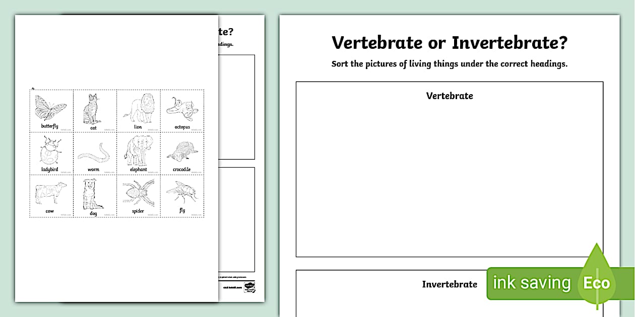 Vertebrate or Invertebrate? Sorting Activity (teacher made)