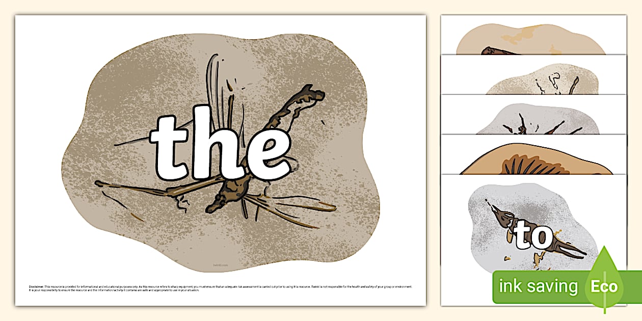 Tricky Words on Fossils Display Cut-Outs (teacher made)