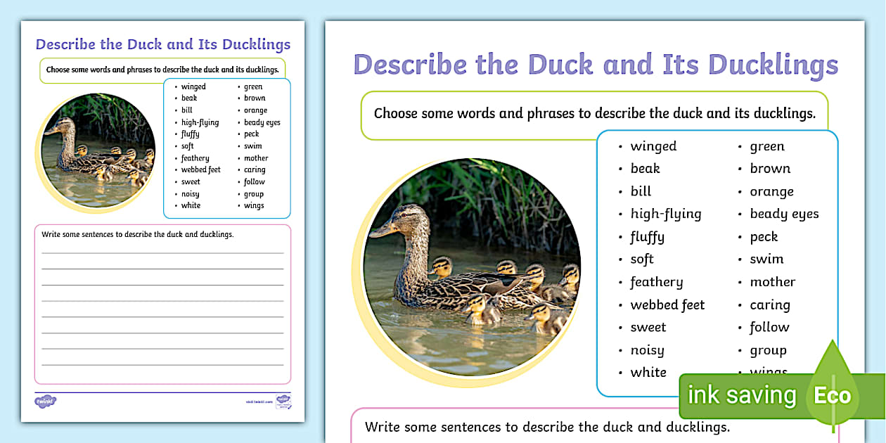 Duck and Ducklings Description Writing Activity - Twinkl