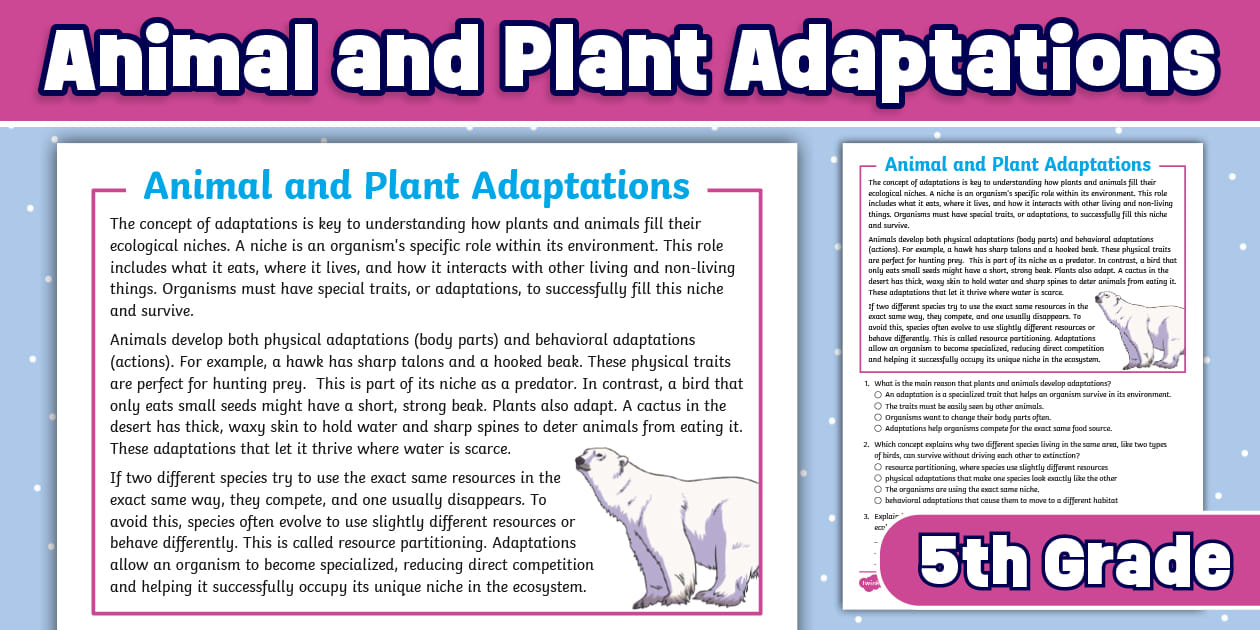 Animal and Plant Adaptations Reading Comprehension Worksheet
