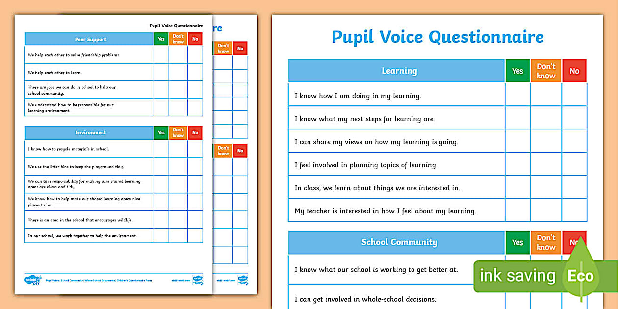 Pupil Voice Questionnaire (teacher made) - Twinkl
