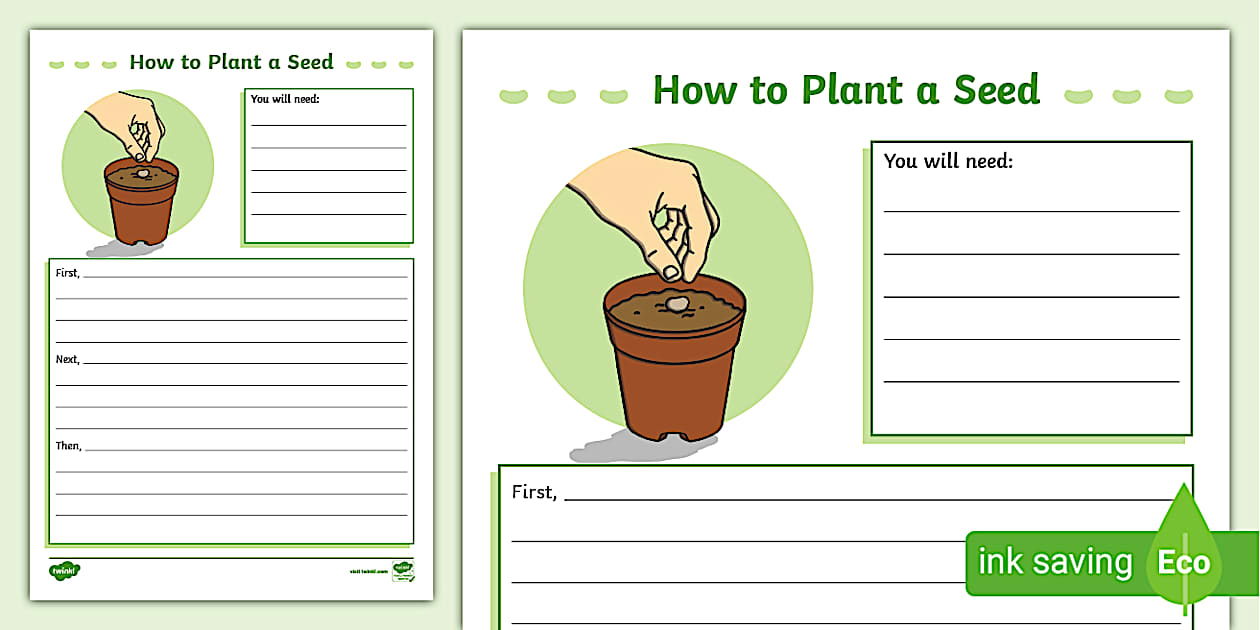 How to Plant a Seed Writing Frame (teacher made) - Twinkl
