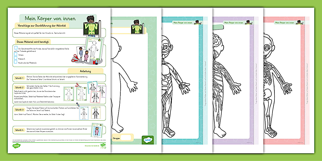Mein Körper von innen - Lapbook (teacher made) - Twinkl