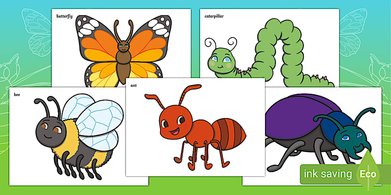 Minibeast Clipart - Detailed Display A4 Cut-Outs - Twinkl
