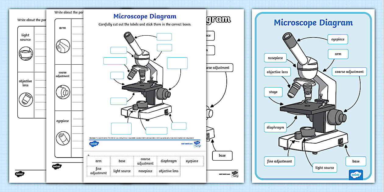 Microscope Diagram Pack (teacher made) - Twinkl