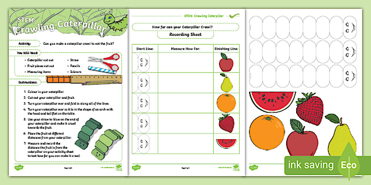 STEM: Crawling Caterpillar (teacher made) - Twinkl