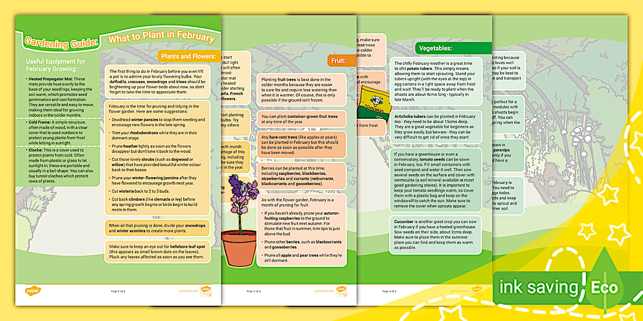 Gardening Guide: What to Plant in February (teacher made)