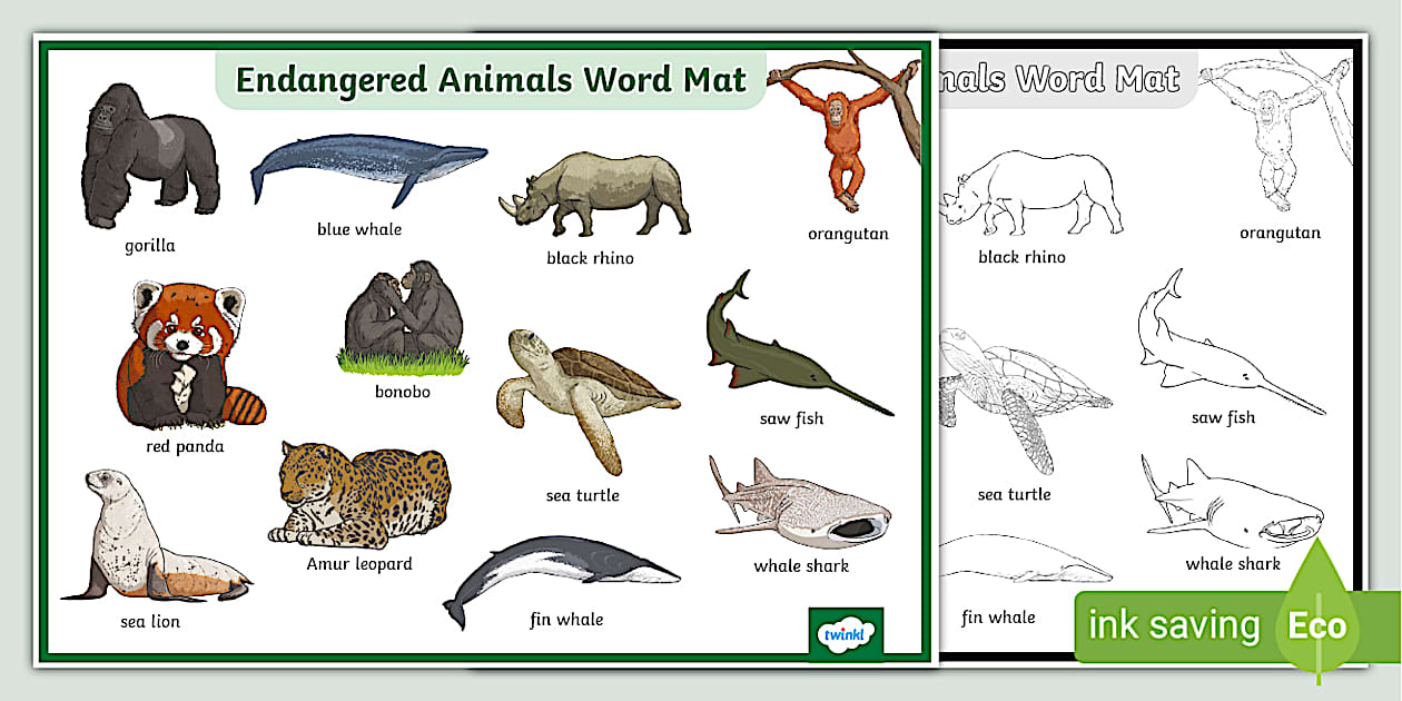 Endangered Animals Word Mat (teacher made) - Twinkl