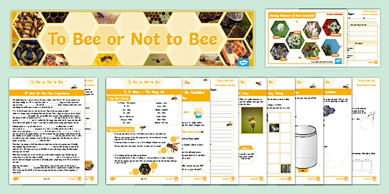 To Bee or Not to Bee Pack (teacher made) - Twinkl