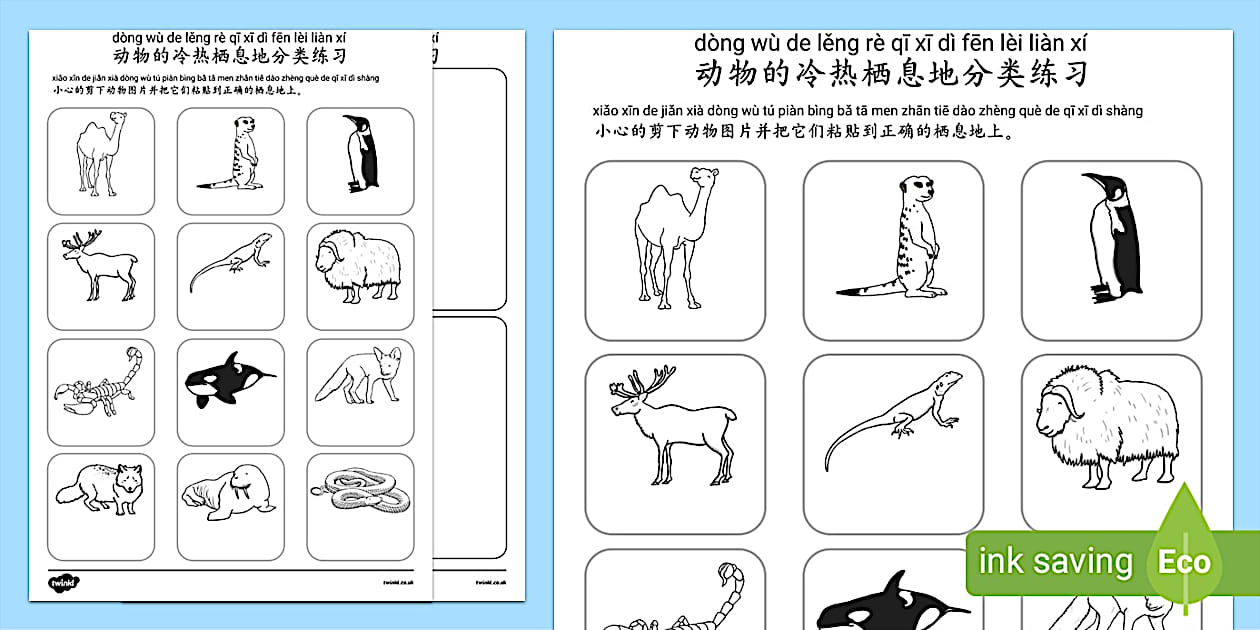 *Chinese version with Pinyin Hot and Cold Habitat* - Twinkl