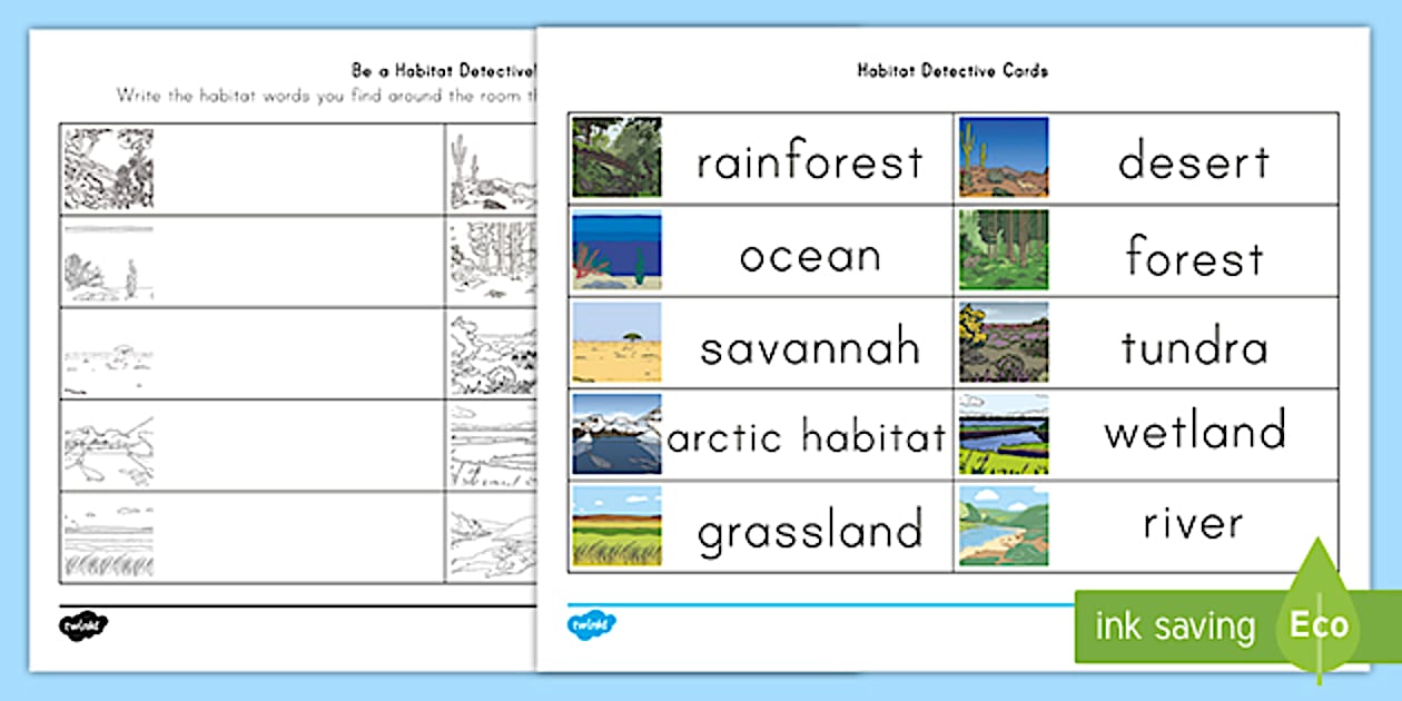 Habitats Read and Write the Room Worksheet - Twinkl