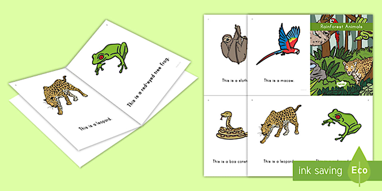 Rainforest Animals Early Emergent Reader (teacher made)