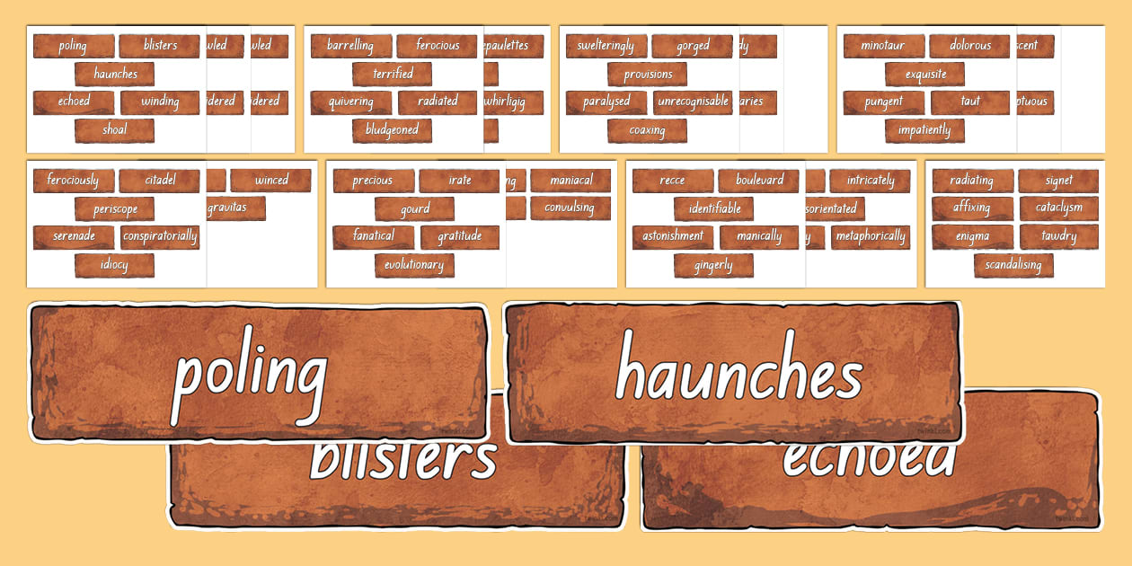Word Wall to Support Teaching of The Explorer by Katherine Rundell