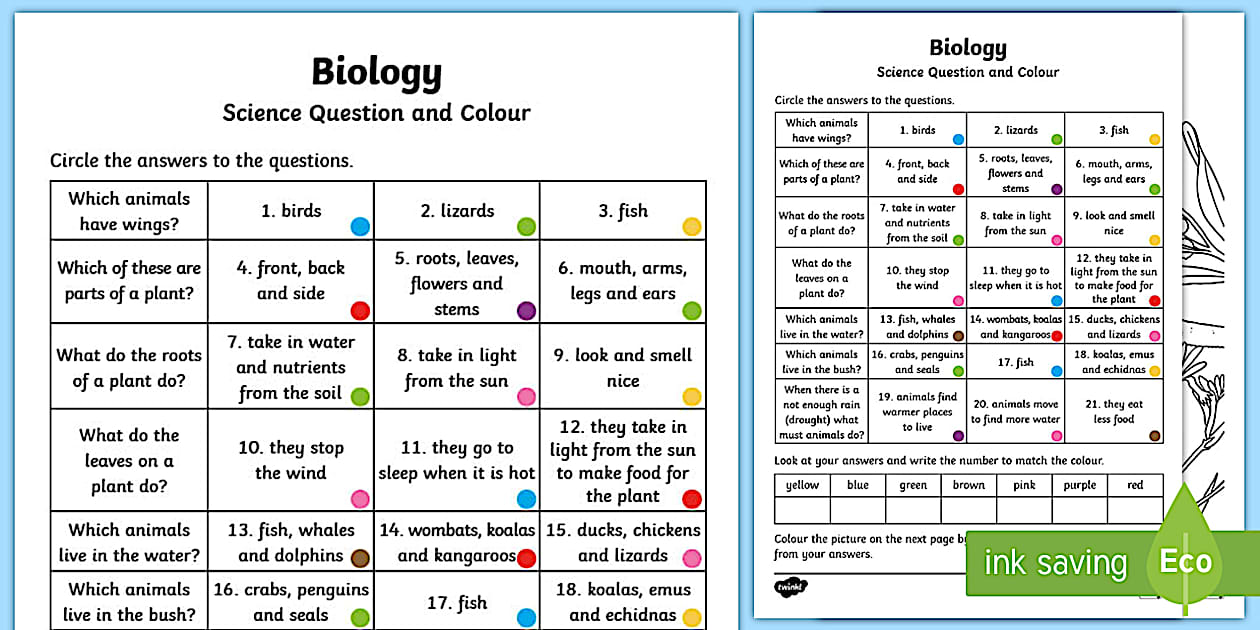 Year 1 Biological Science Questions and Colouring Worksheet / Worksheets