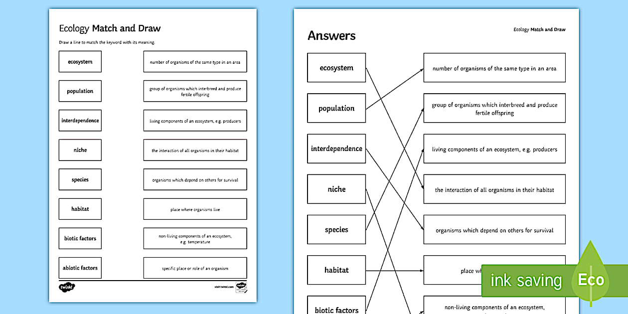 Ecology Activity - Match and Draw | KS3 Ecology | Beyond