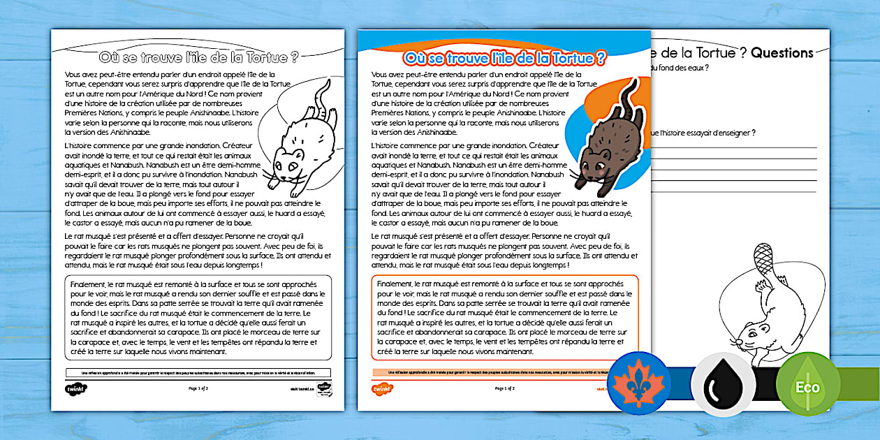 Turtle Island Reading Comprehension Activity French - Twinkl