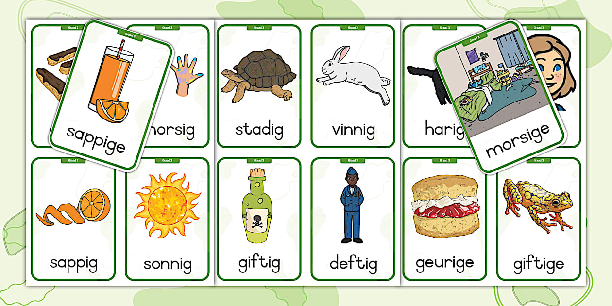 Graad 3 Klanke -ig, -ige Flitskaarte - Twinkl