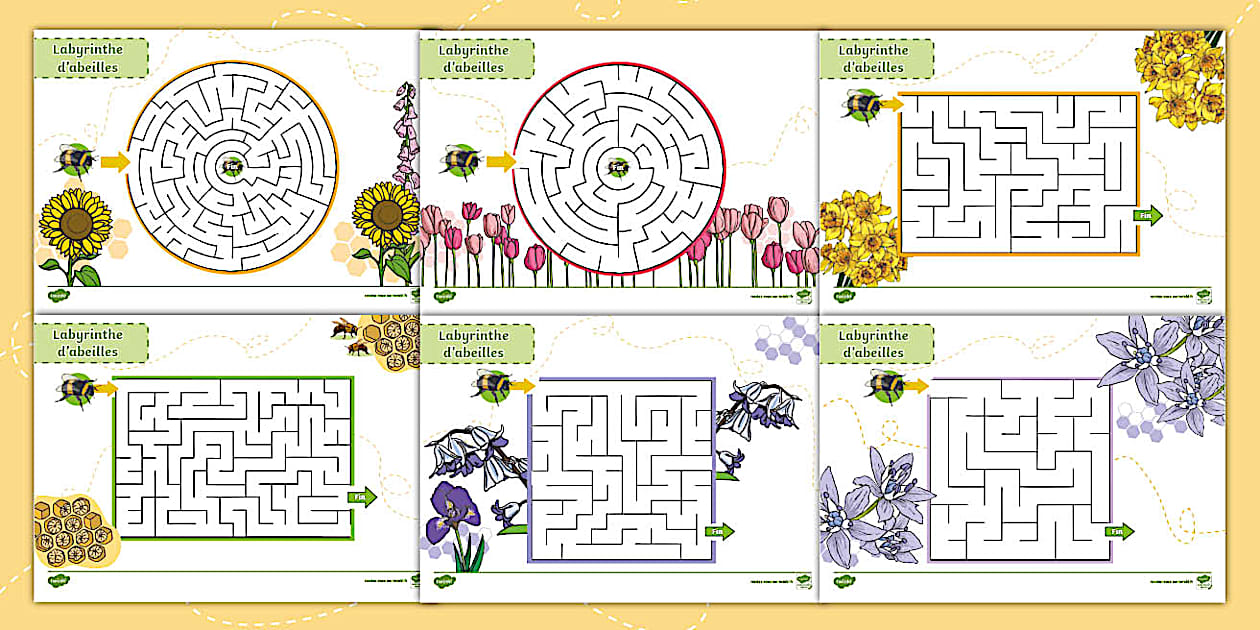 Labyrinthe d'abeilles (teacher made) - Twinkl