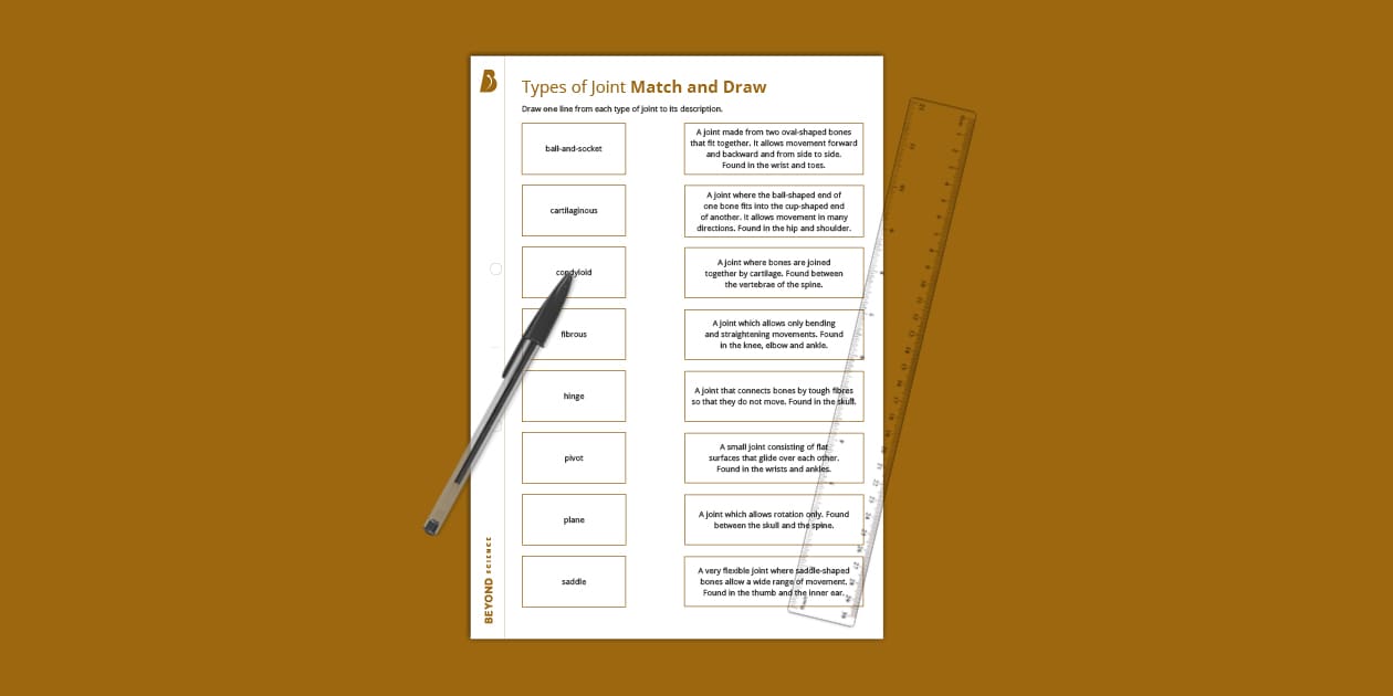 Types of Joint Match and Draw | KS3 Biology | Beyond