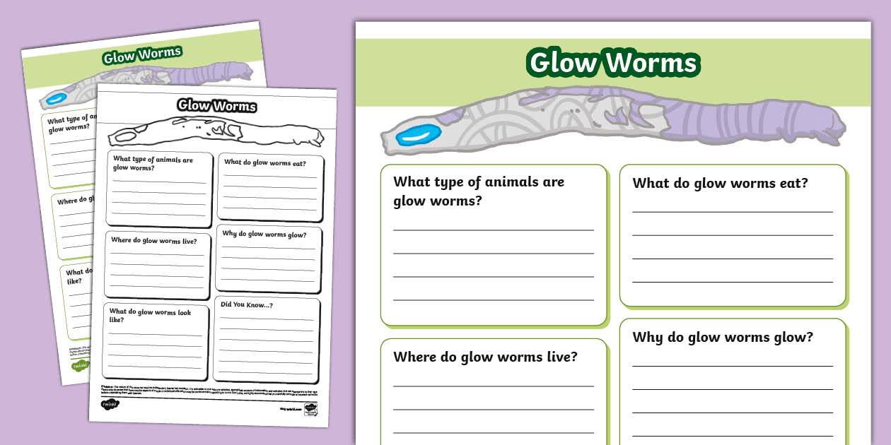 Glow Worms Fact File Template - Twinkl Science - Twinkl