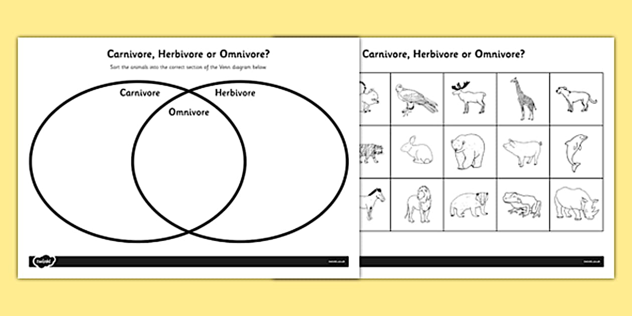 Carnivores, Herbivores, and Omnivores Worksheet - Twinkl