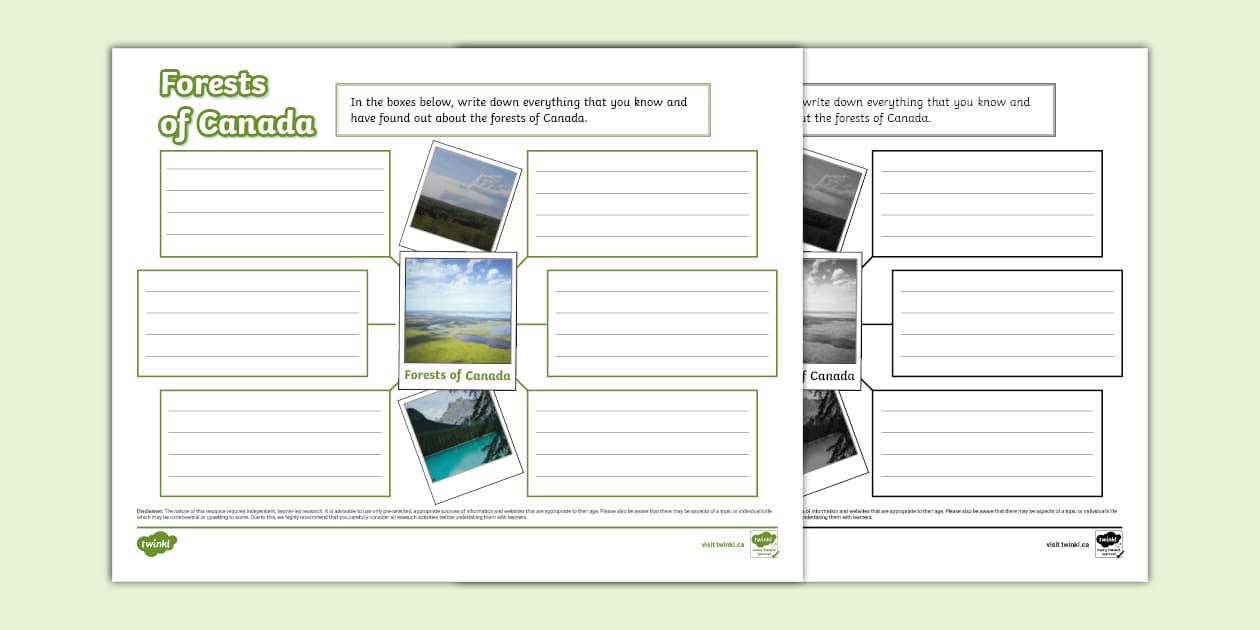 The Forests of Canada Mind Map Template - Twinkl