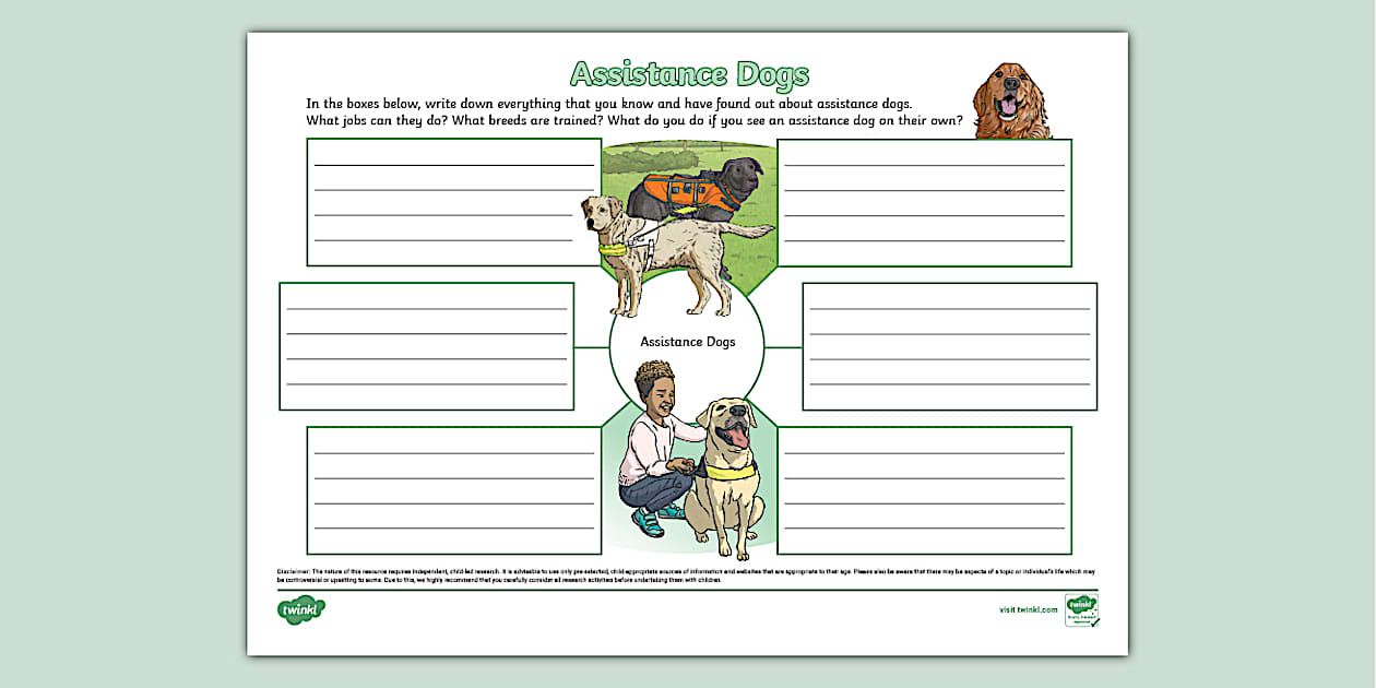 Assistance Dogs Mind Map (teacher made) - Twinkl