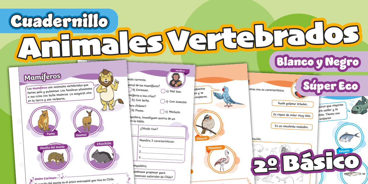 Cuadernillo | Animales Vertebrados | 2° Básico | Ciencias