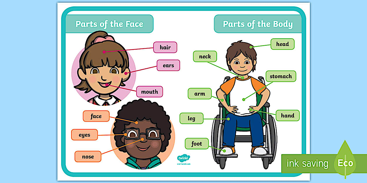 Editable Body Parts Display Poster (teacher made) - Twinkl