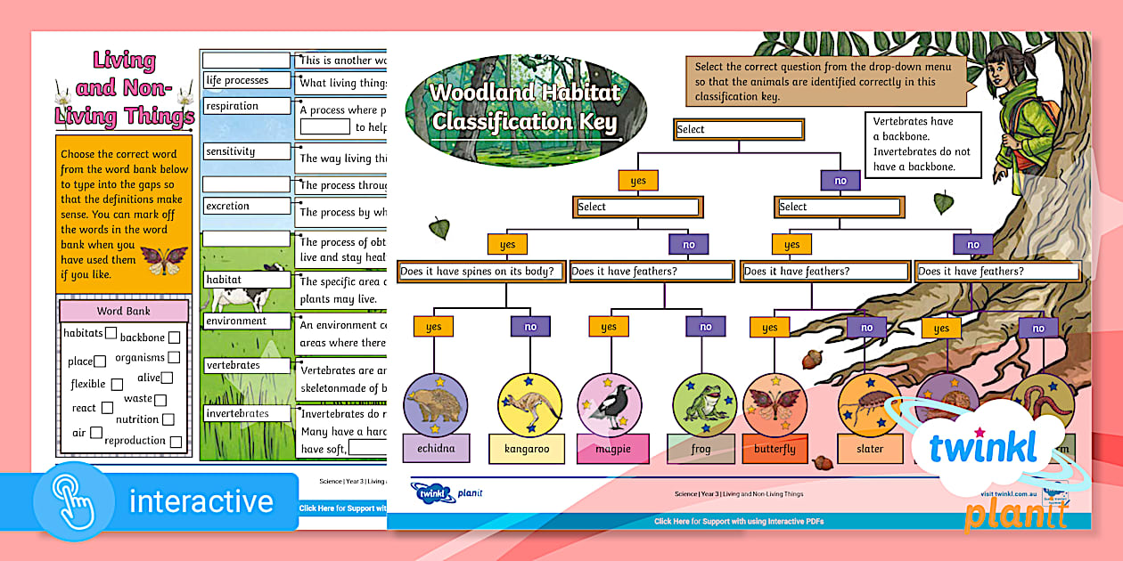 Year 3 Science Living and Non-Living Things Interactive PDF