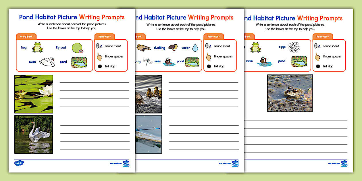 Pond Habitat Picture Writing Prompts Activity Worksheet