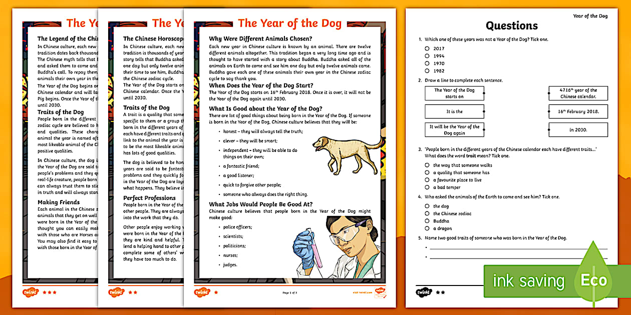 LKS2 The Year of the Dog Differentiated Reading Comprehension Activity