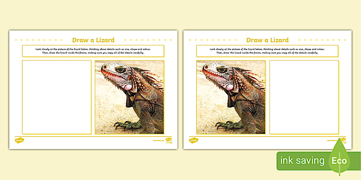 Draw a Lizard Art Activity (teacher made) - Twinkl