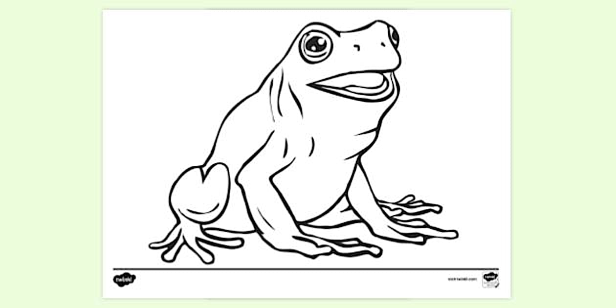 Frog Colouring | Colouring Sheets (teacher made) - Twinkl