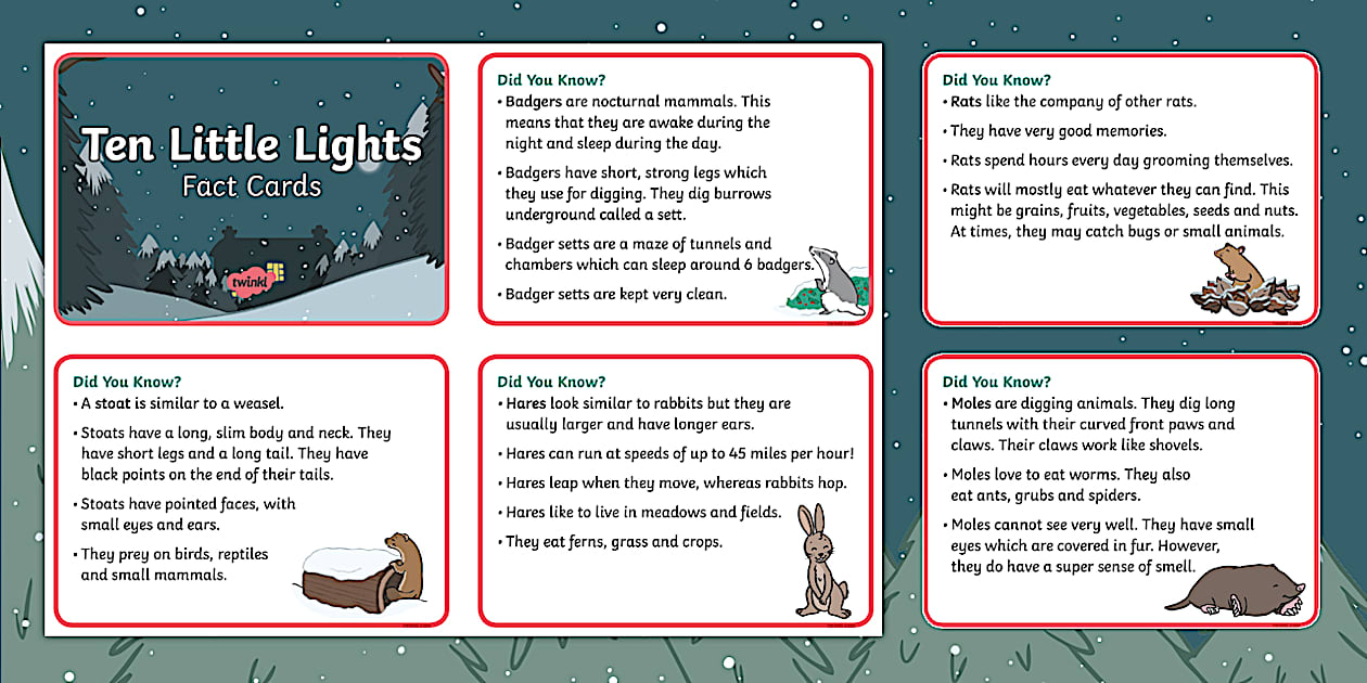 Ten Little Lights Fact Cards - Twinkl