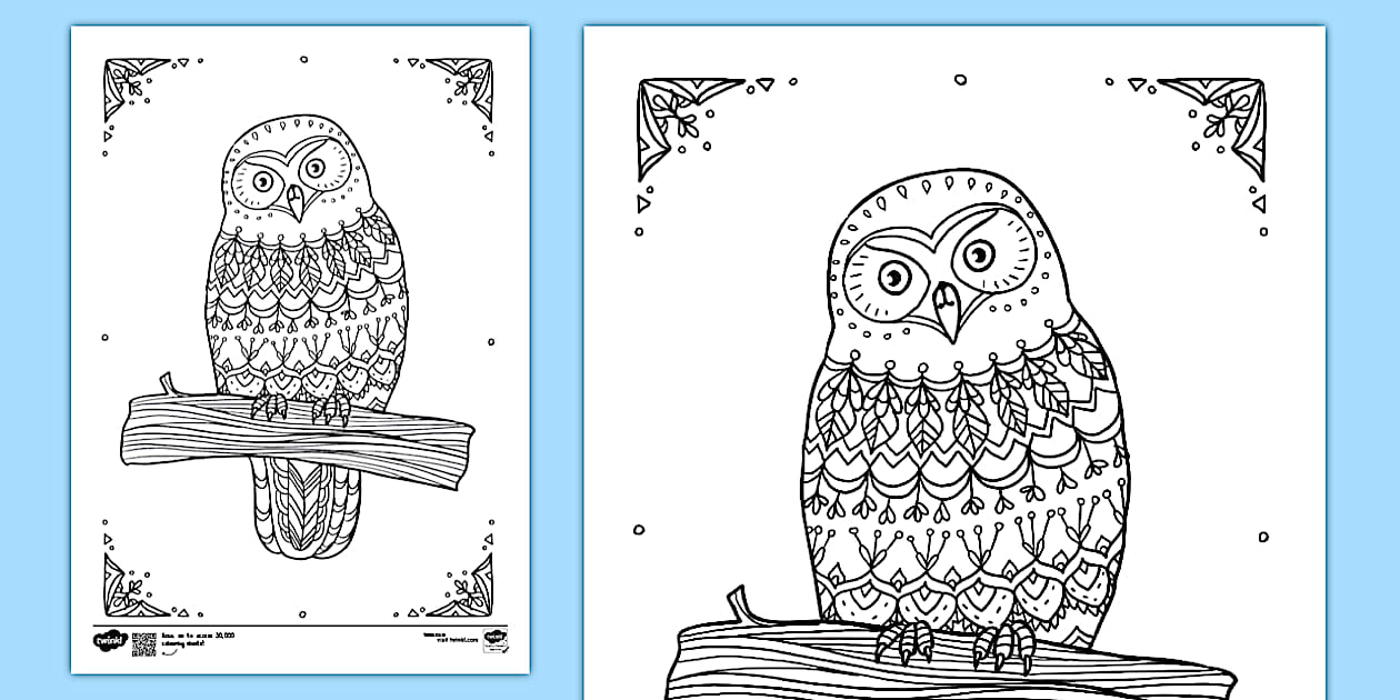 Morepork Owl Mindfulness Colouring Page (teacher made)