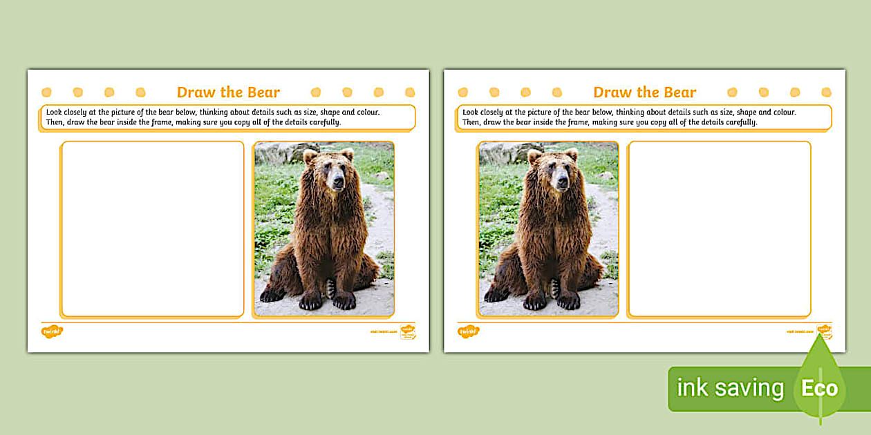 Draw the Bear Art Activity, How to draw a bear - Twinkl