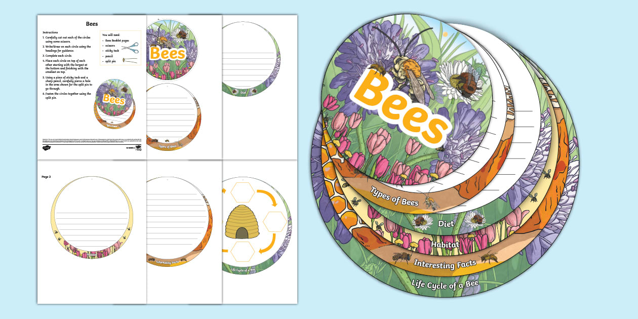 Bees Circles Booklet (teacher made) - Twinkl