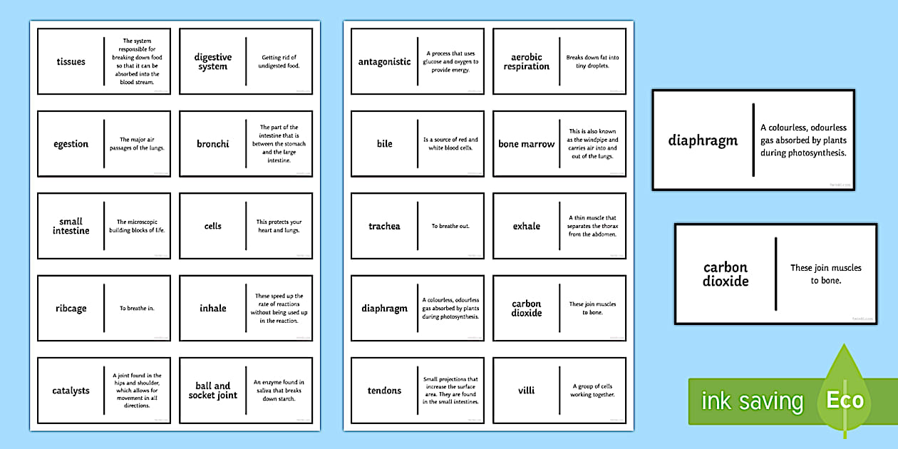Body Systems Patience Glossary Activity (teacher made)