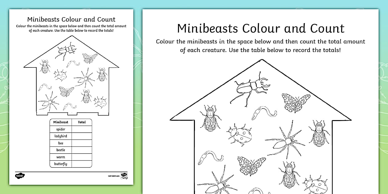 👉 Minibeasts Colour and Count Worksheet (teacher made)