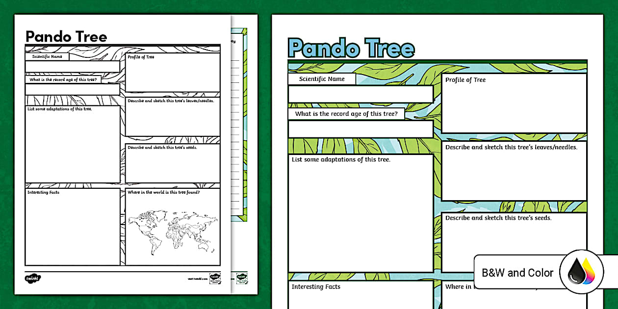 Pando Tree Research Graphic Organizer for 6th-8th Grade