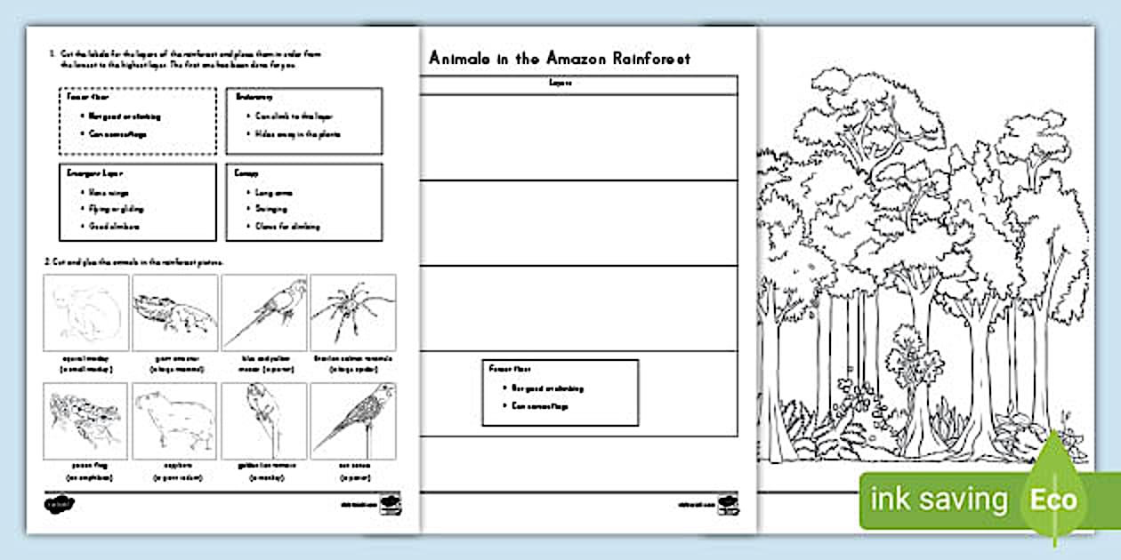 Animals in the Amazon Rainforest Cut and Paste Worksheet for K-2nd Grade
