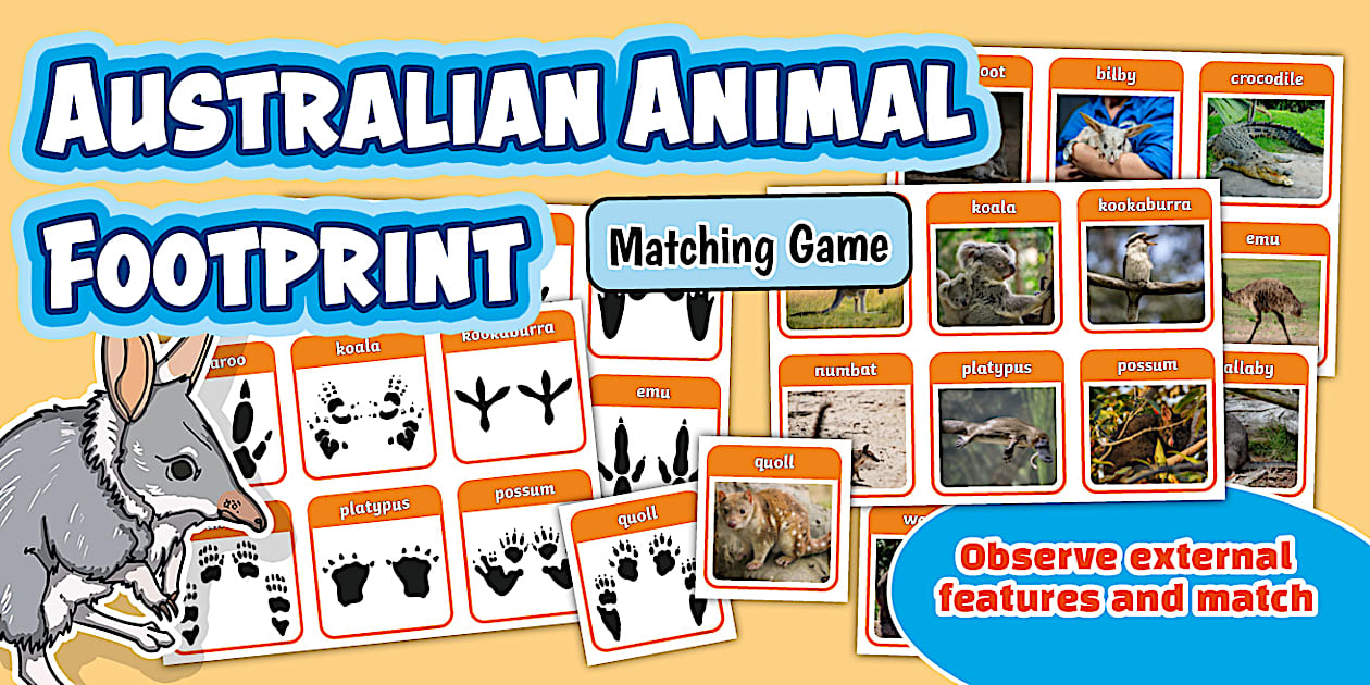 Australian Animal Footprint Matching Game