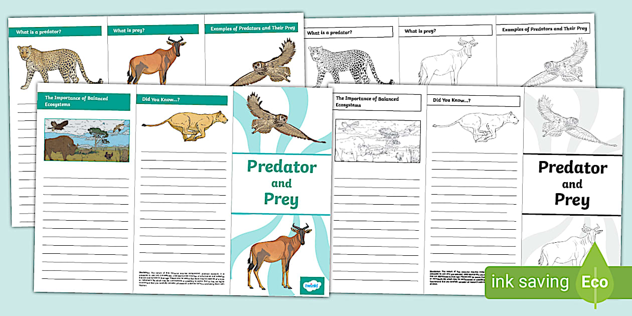 Predator and Prey Leaflet Template (Teacher-Made) - Twinkl