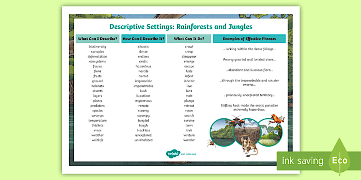 KS2 Rainforest Descriptive Writing Word Mat (teacher made)